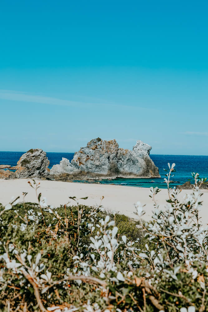 18 of the best things to do on the Sapphire Coast - Our Passion For Travel